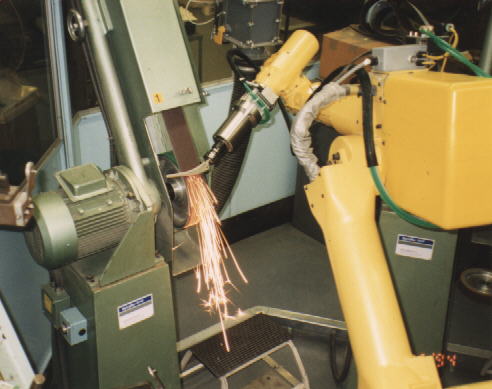 Robotix - Hip joint casting fettling and grinding